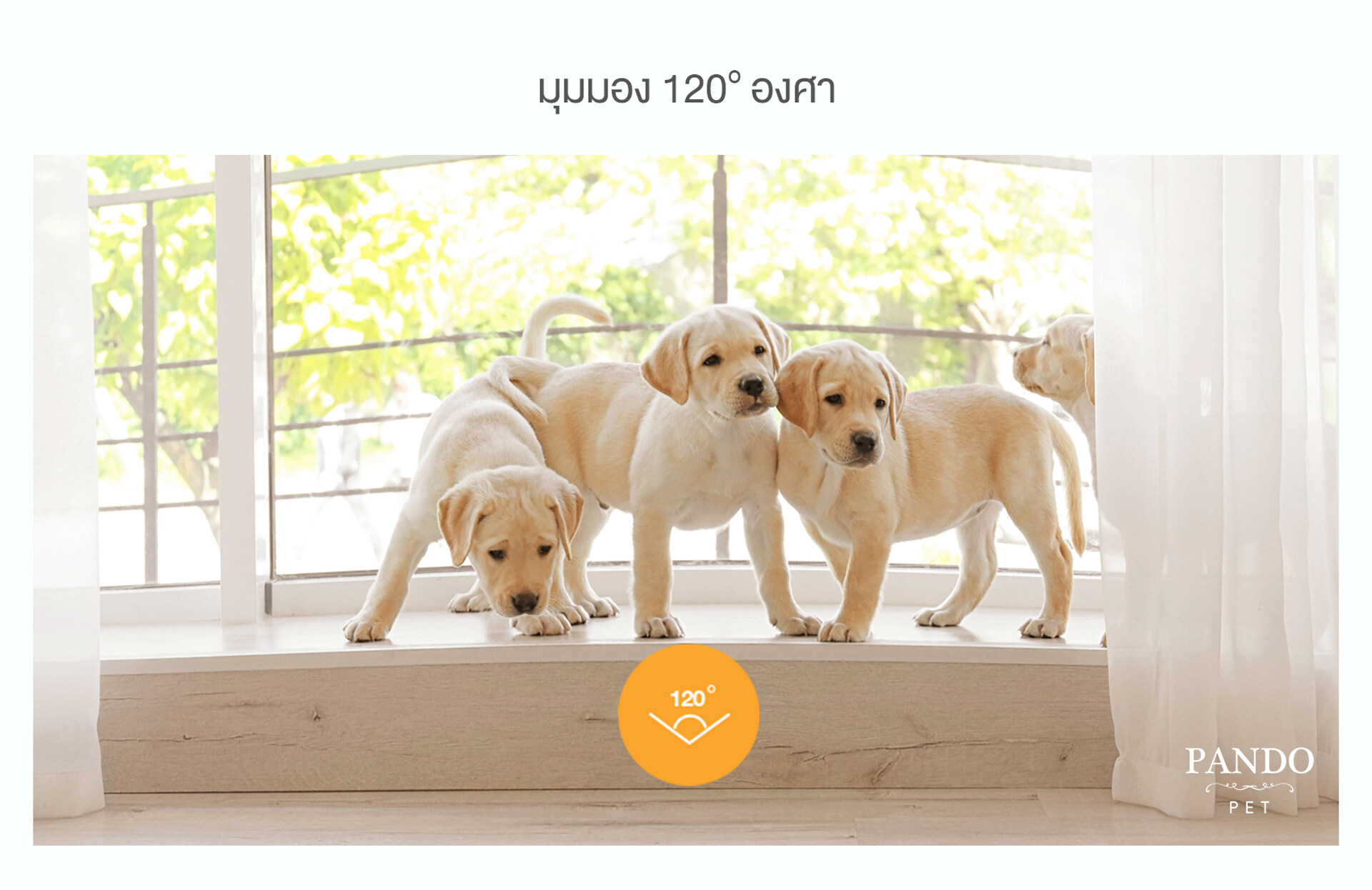 Pando Pet Video Audio Cats & Dogs Smart Feeder